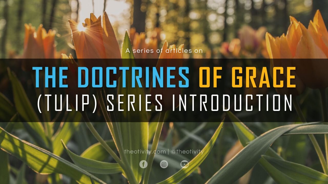 The Doctrines of Grace (TULIP) | Series Introduction | THEOTIVITY