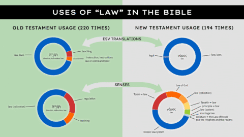 A Beginner's Guide to Making Sense of the Old Testament (Part 1) | The ...