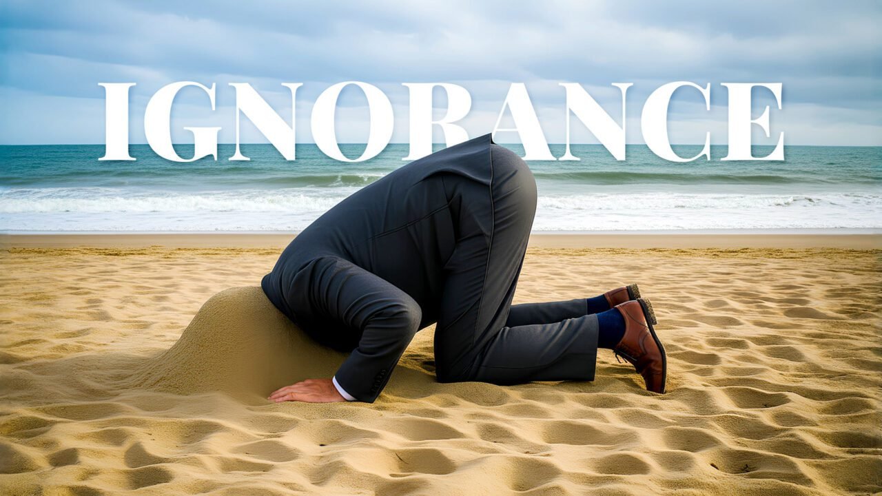 When Ignorance Becomes Sin | THEOTIVITY